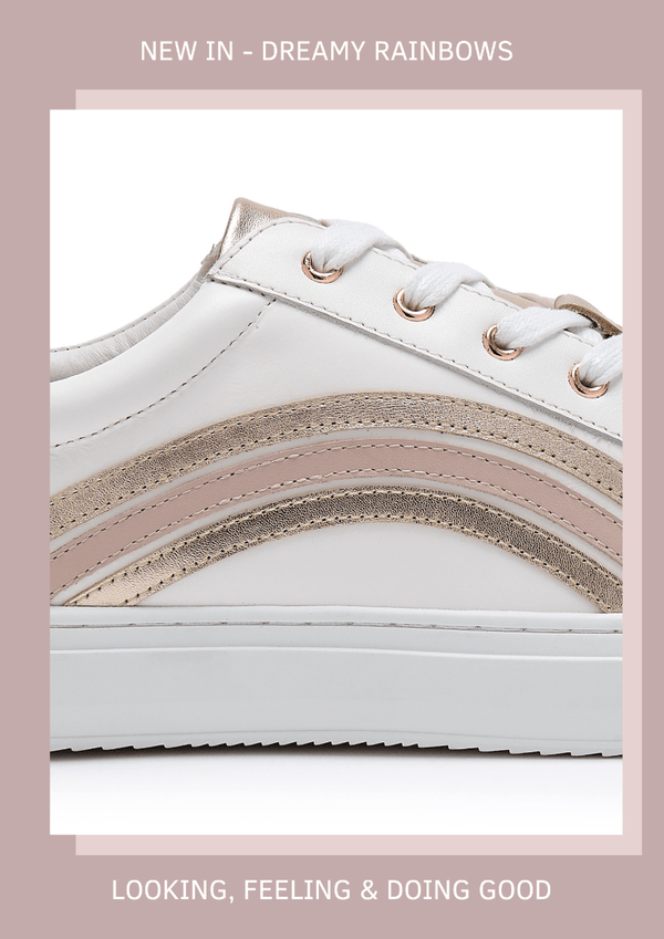 Unveiling Joy: Hoxton Rainbow Trainers & Exciting Innovations in Our K